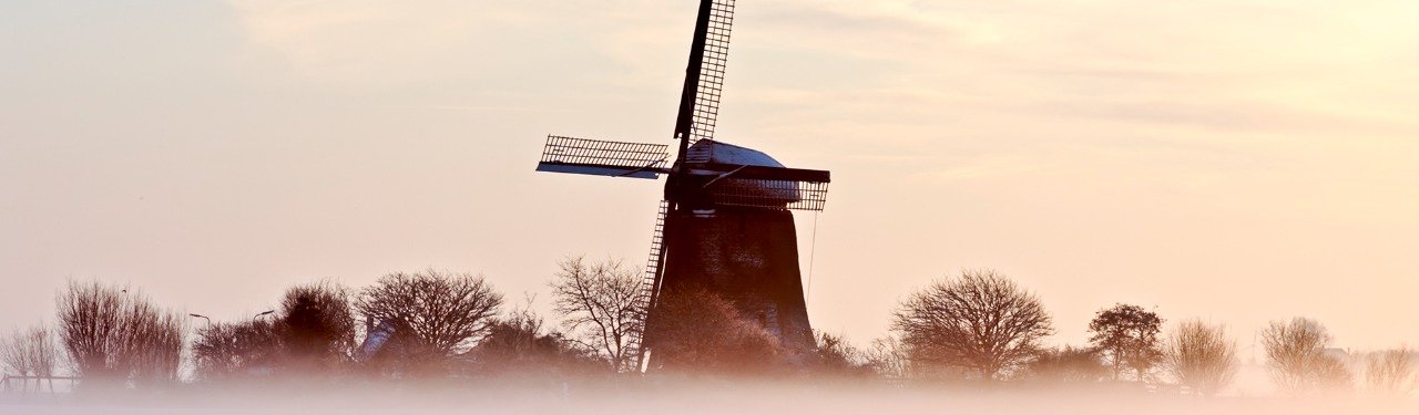 De 5 populairste wijndruiven van de wereld - Hullen - úw topSlijter